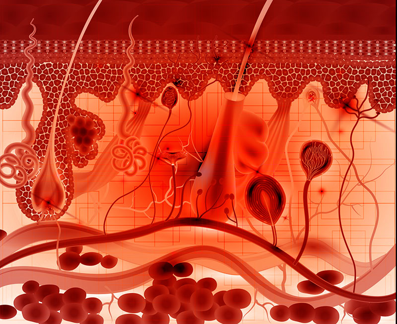 Achieving Youthful Skin With Red Light Therapy – Recover Red