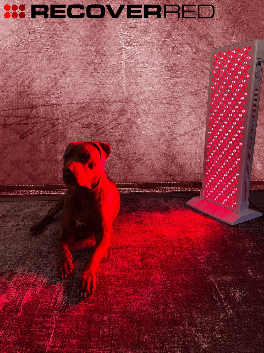 Is Red Light Therapy Considered Safe? Spoiler Alert - Yes. – Recover Red